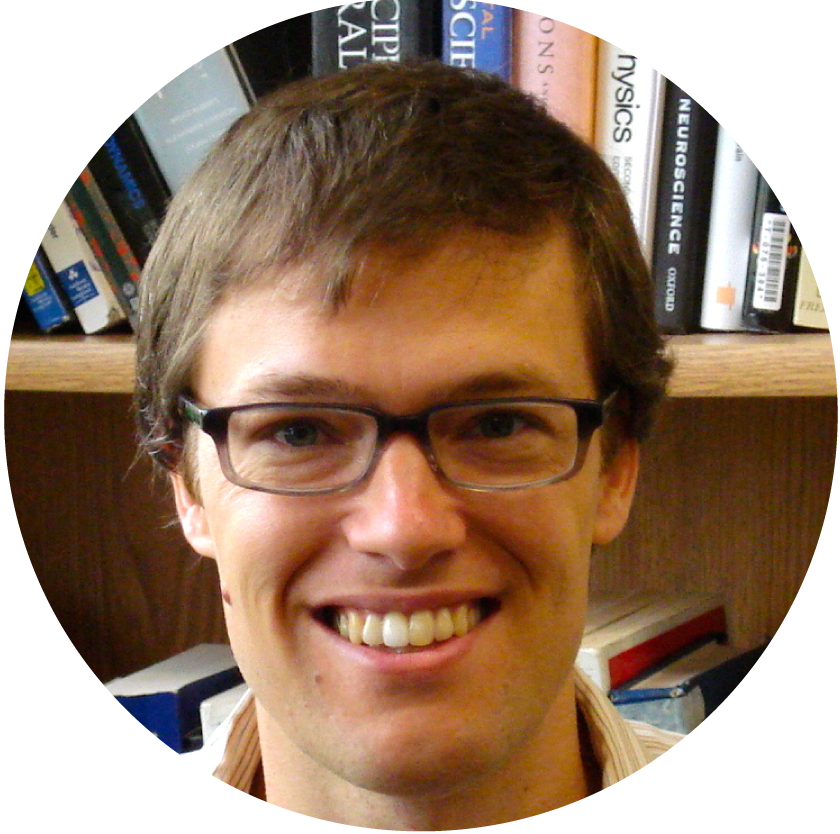 icon_shew – BrainCriticality.org